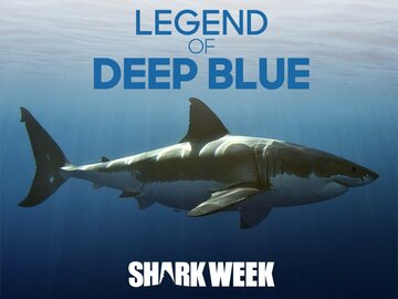 Discovery Channel Programs | Watch Discovery Channel Shows Online | USTVNow