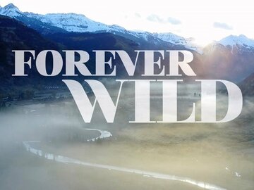 WPSU World Programs | Watch WPSU World Shows Online | USTVNow