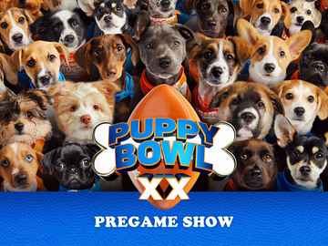 Animal Planet Programs | Watch Animal Planet Shows Online | USTVNow