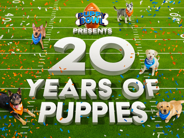 Animal Planet Programs | Watch Animal Planet Shows Online | USTVNow